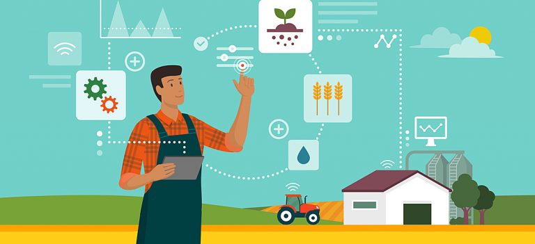 Engenheiro agrônomo: conheça seu trabalho
